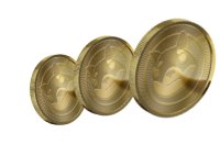 $SHIA The first meme coin to offer a complete Saga of games - Shiba Saga